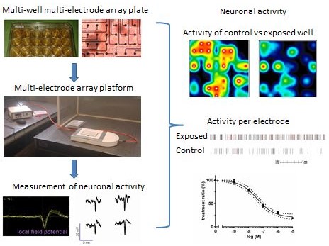 Neurotoxicology | Techniques